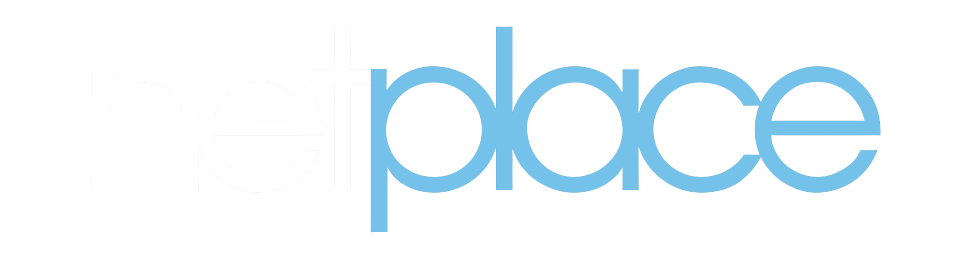 Netplace Technologies – IT and Security Solutions